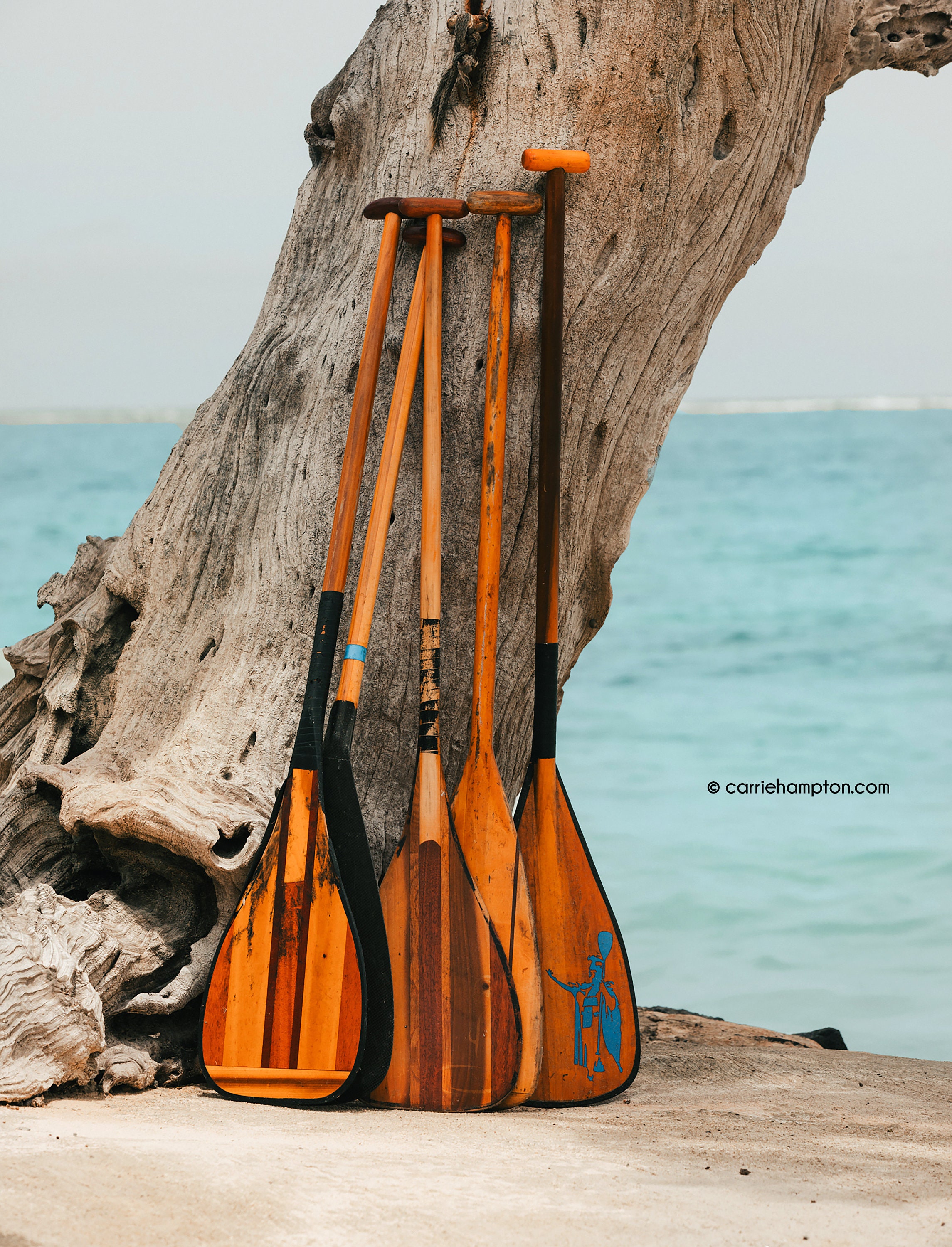Hawaiian Wooden Canoe Paddles, Hawaii Art Beach Paddle Photography Home ...