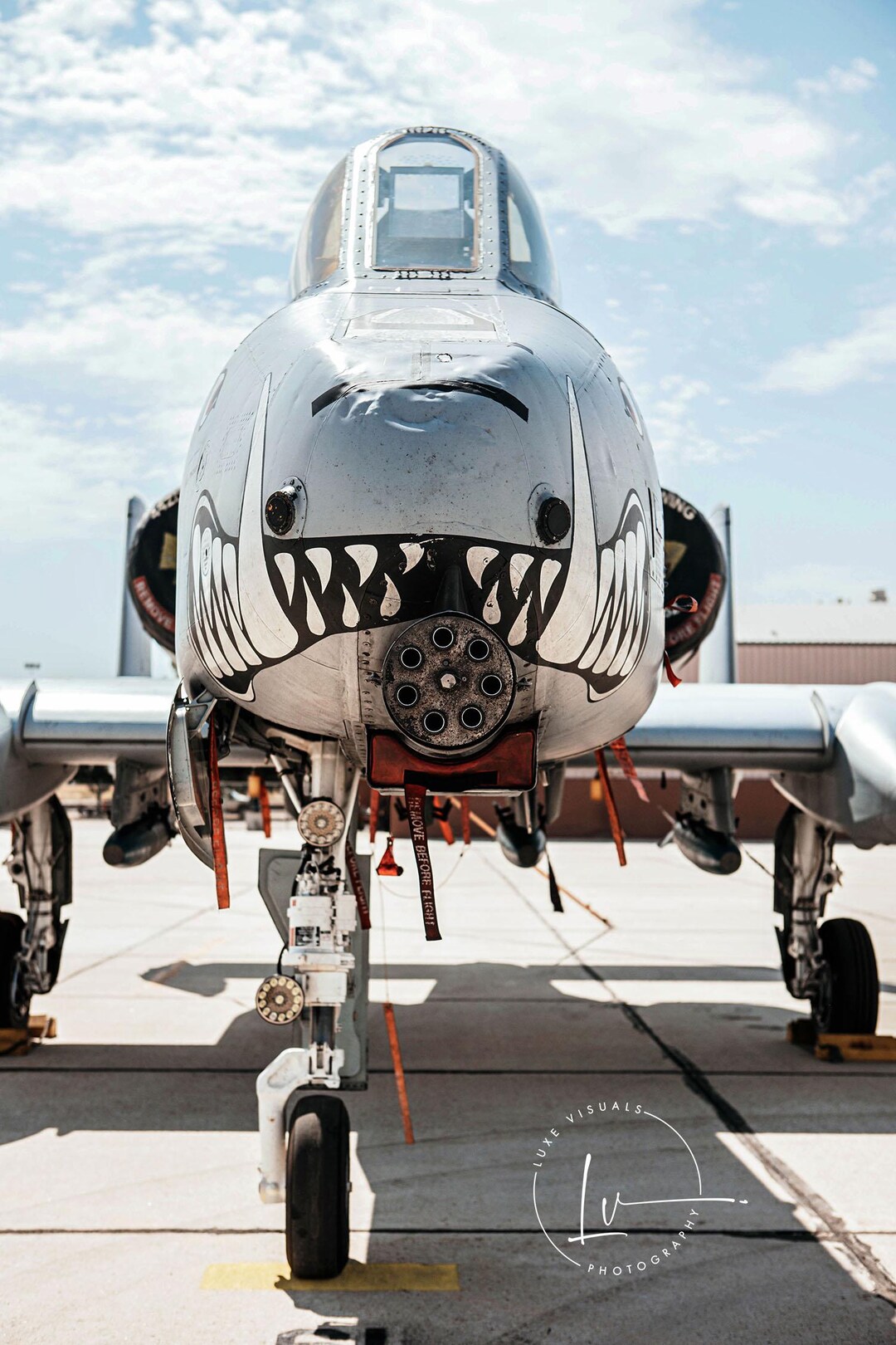 A10 Warthog Photo, A10 Warthog Poster, Military Fighter Jet, GAU ...