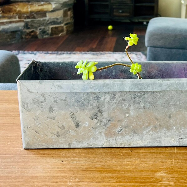 Rustic Planter - Etsy