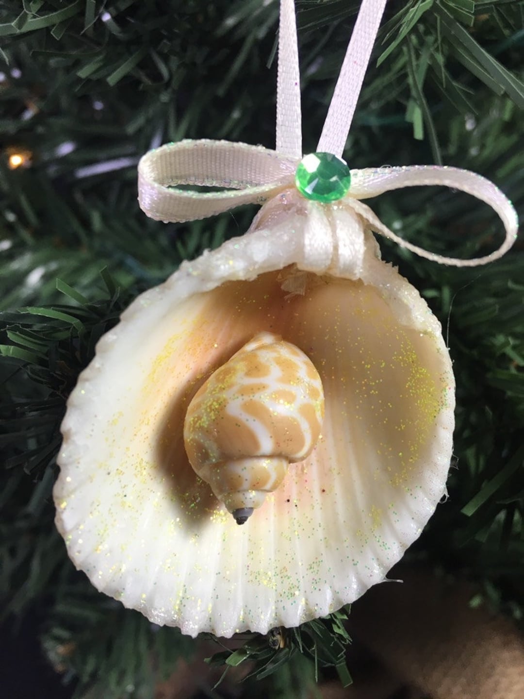 Clam Shell With a Tropical Whelk Shell Centered Inside. Christmas Beach ...