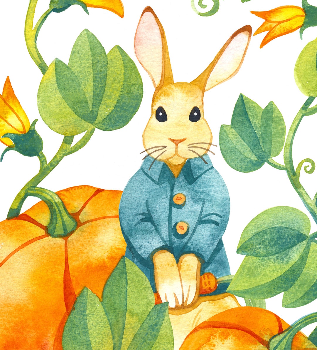 Peter Rabbit in a Garden With Orange Pumpkins Watercolor Illustration ...