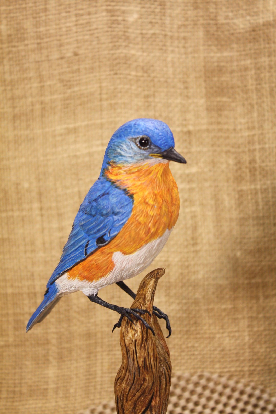 Eastern Bluebird Wood Carving Hand Carved by Mike Berlin - Etsy