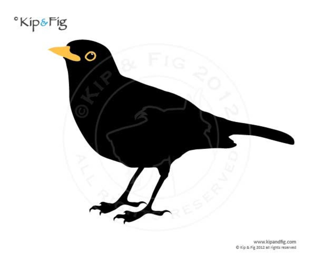 Blackbird Applique Template - Pdf Applique Pattern - Etsy