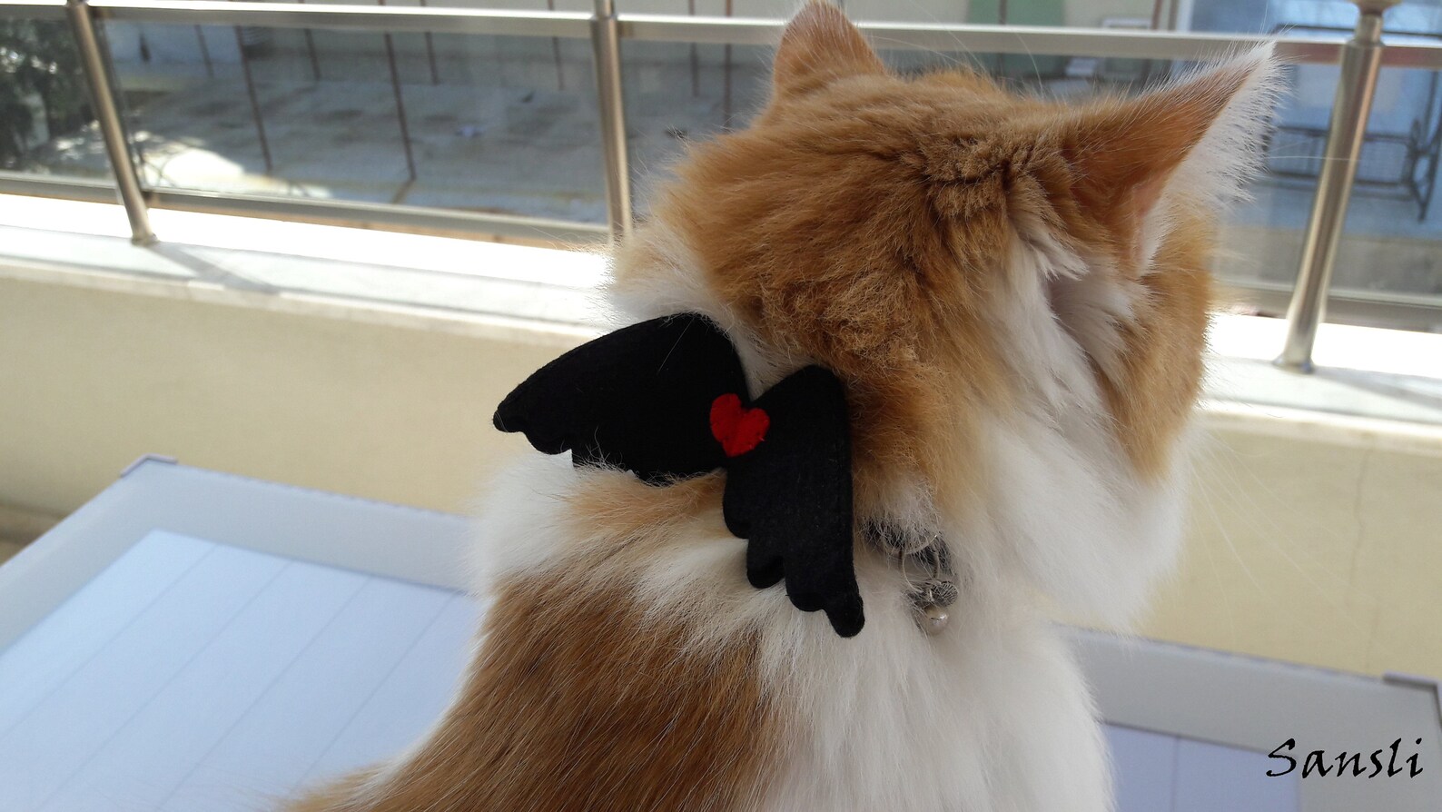 Cat Collar/ Black Angel Wing Cat Collar/ Red Heart Cat Collar/ - Etsy