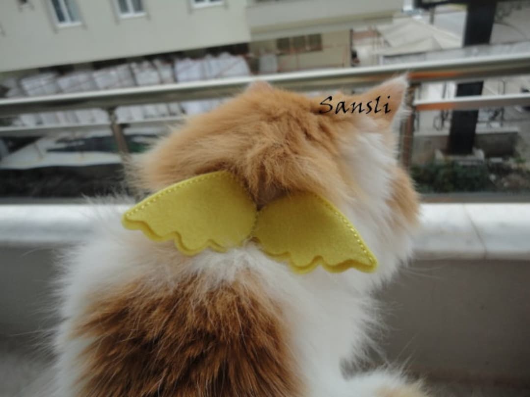 Yellow Angel Wing Cat Collar/ Fall, Autumn Cat Collar/ Breakaway Safety ...