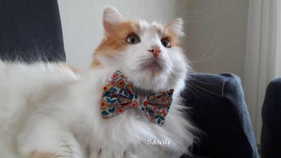 Etsy cat collar bow tie store