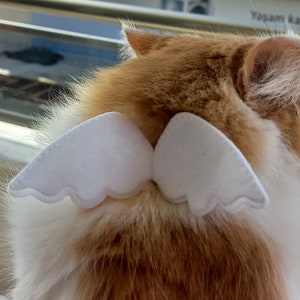 Angel Cat Collar/ Angel Wing Cat Costume-''white+color Option''-wedding ...