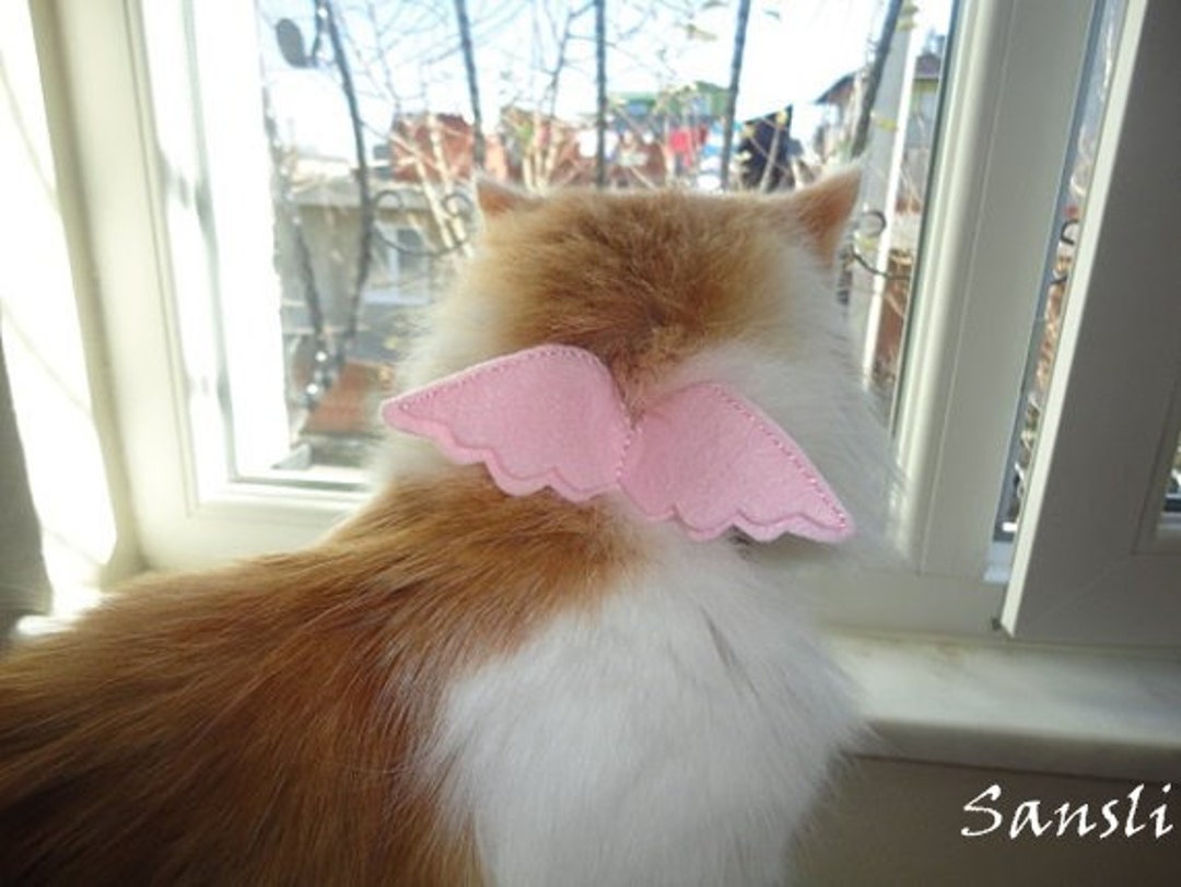 Pink Angel Wing Cat Collar/ Felt Wing Collar-''color Option ...