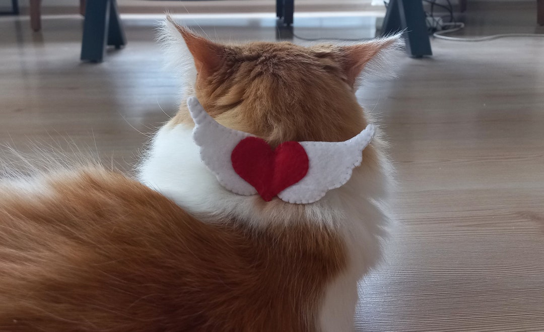 Angel Cat Collar- ''wing, Red Heart''- White Cat (breakaway) Collar ...