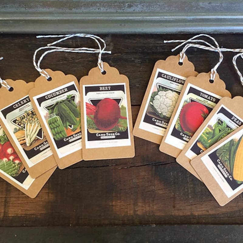 Seed Packet Tags - Etsy
