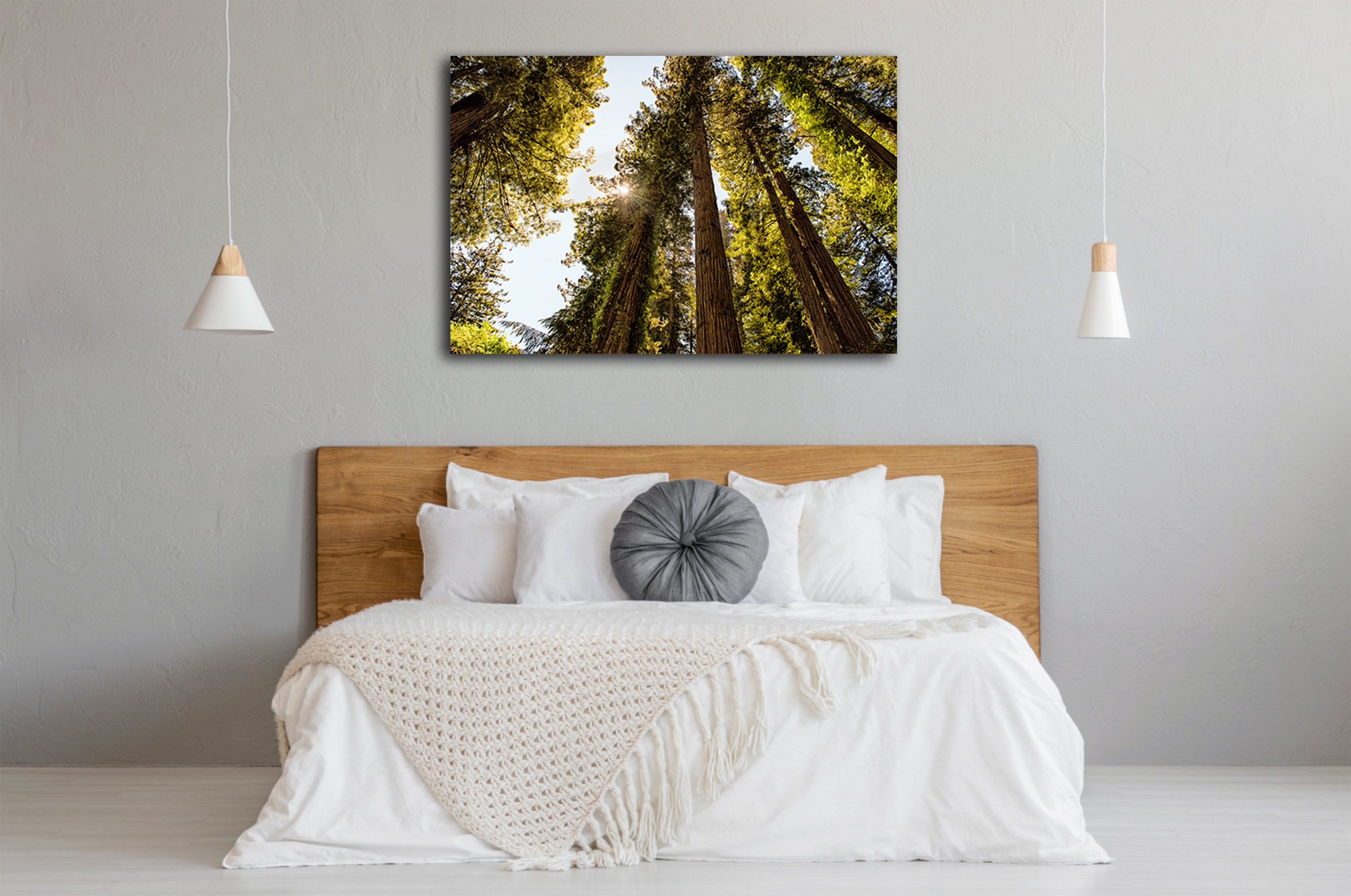 The Giants Mounted Standout Print, California Redwood Trees Fine Art ...