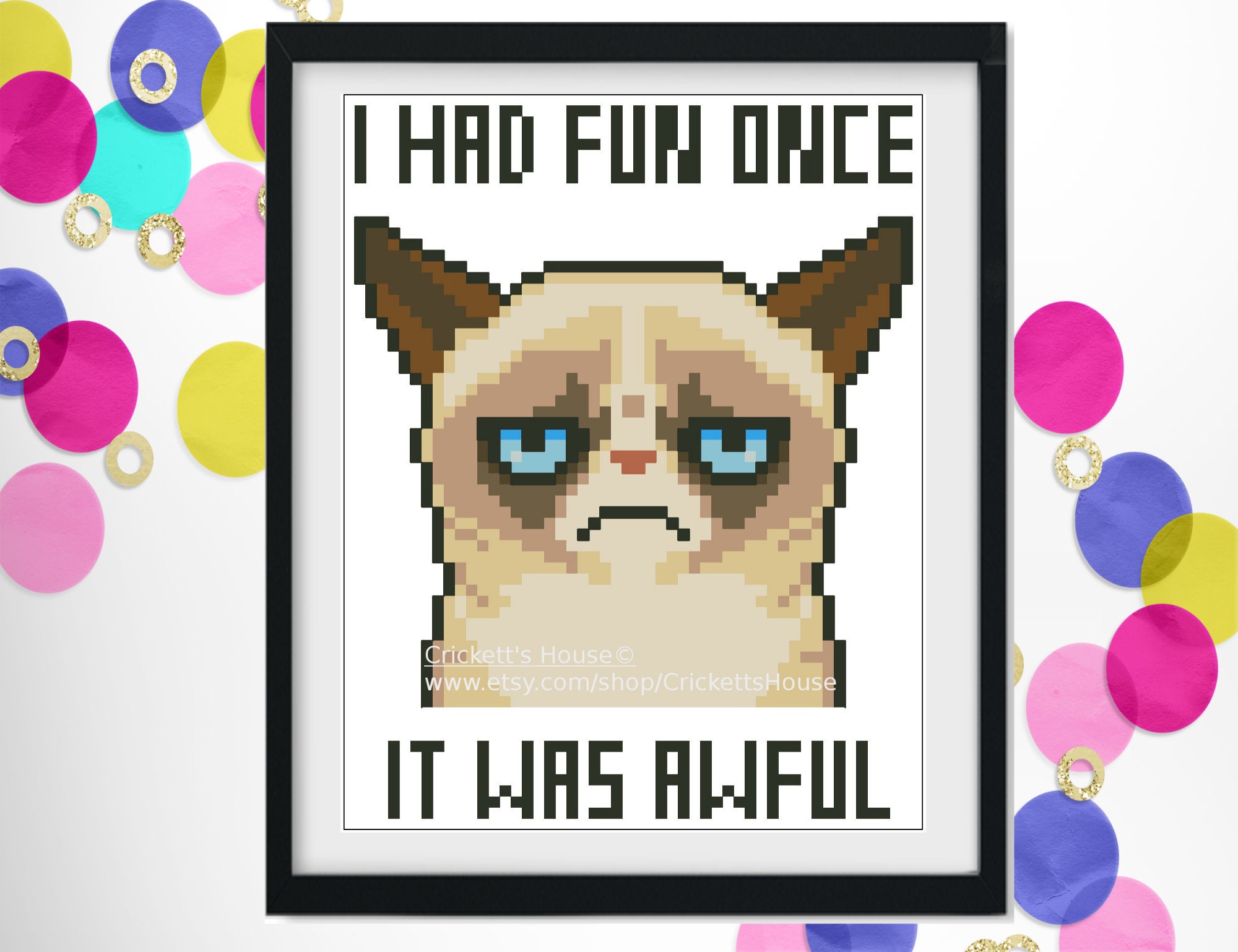 Angry Cat Meme I Had Fun Once