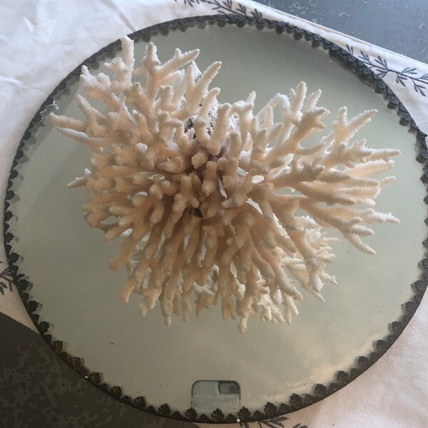 Plateau Mirror - Etsy