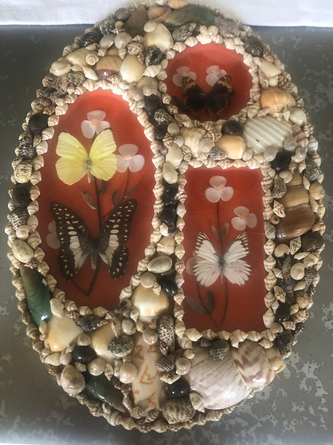 Shell Art Collage With Framed Butterfliesbeachy Decor - Etsy