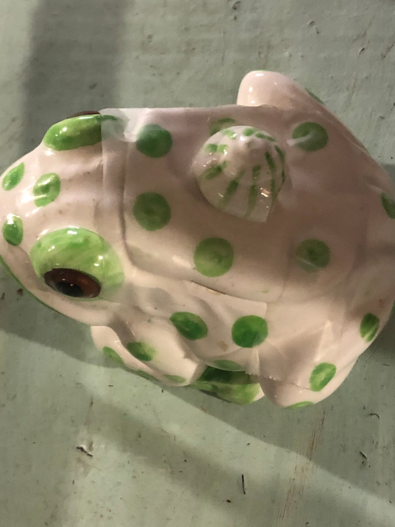Spotted Frog Covered Ceramic Container - Etsy Italia