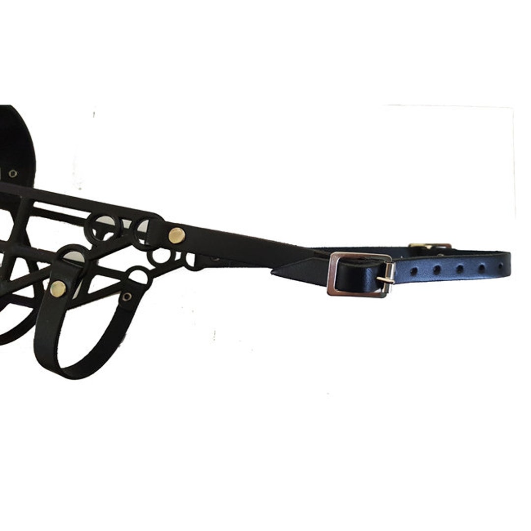Extension Strap for Dog Muzzles - Large Greyhound Whippet Muzzle ...