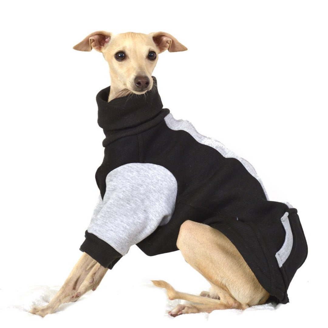 Whippet Sweater Greyhound Jumper Saluki, Podenco, Galgo, Lurcher 8 ...