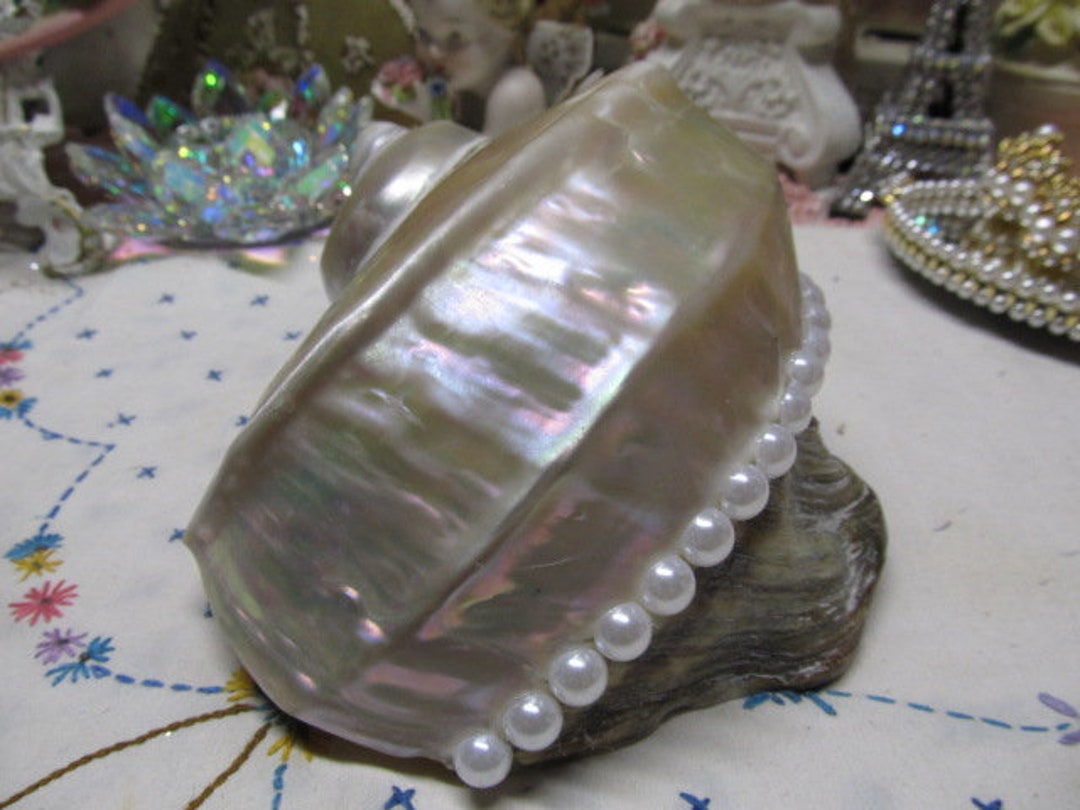 Large Mother of Pearl Embellished Conch Shell, Half Pearls, Polished ...