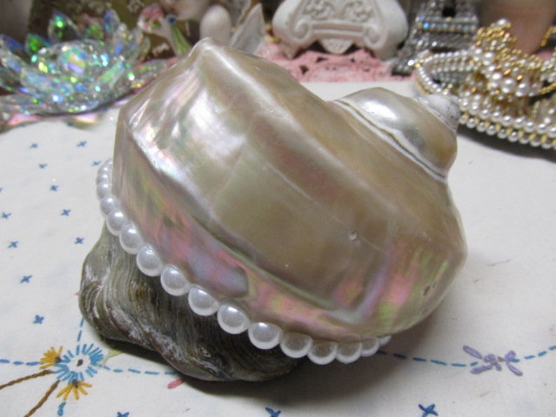 Large Mother of Pearl Embellished Conch Shell Half Pearls | Etsy