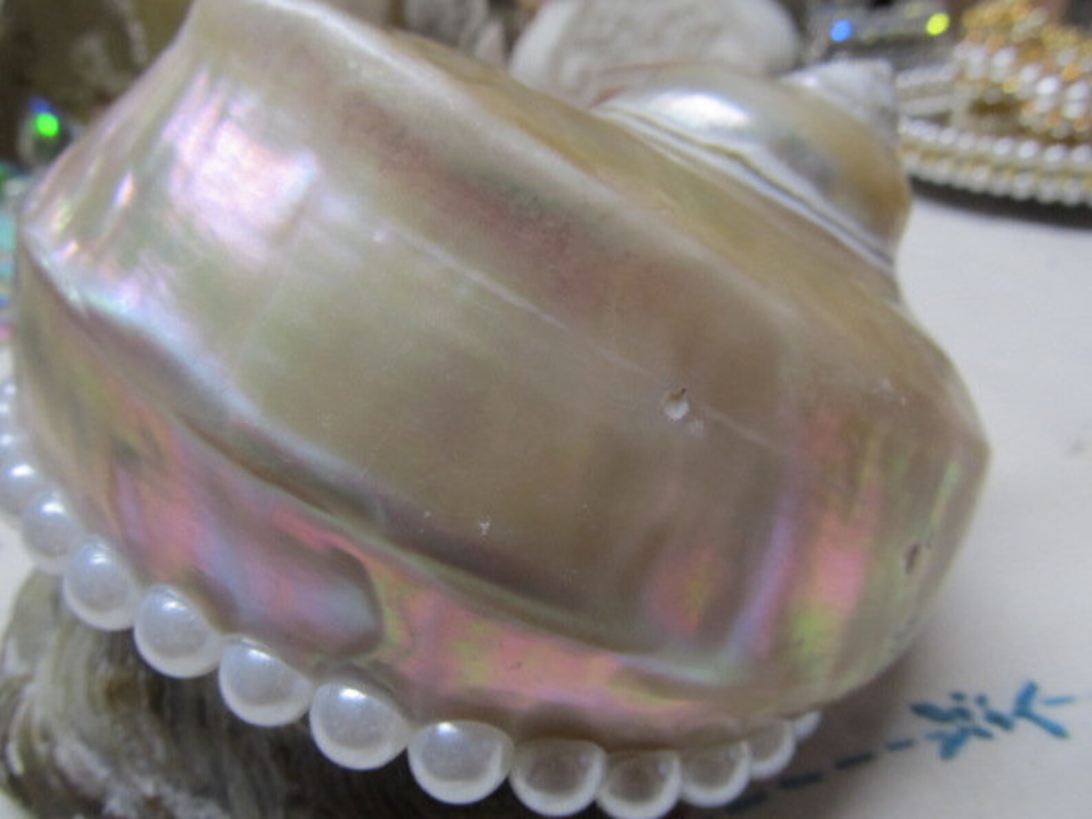 Large Mother of Pearl Embellished Conch Shell Half Pearls | Etsy