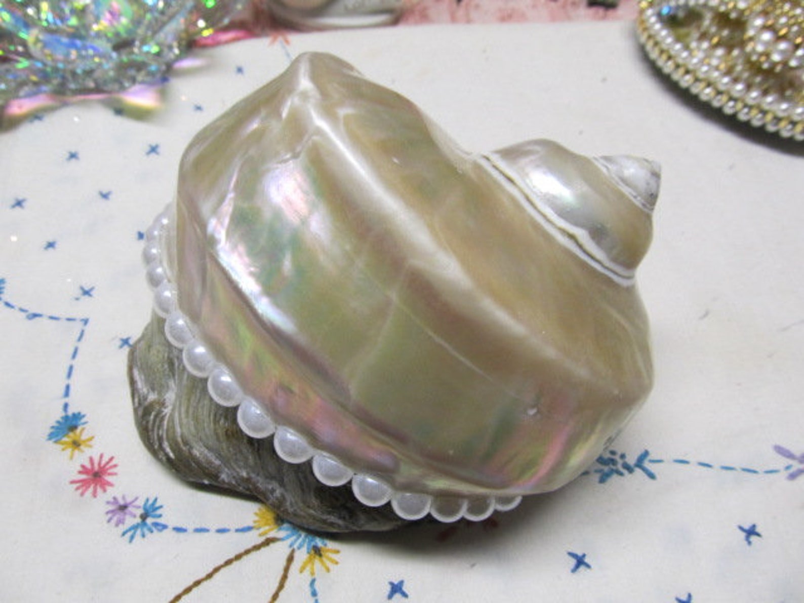 Large Mother of Pearl Embellished Conch Shell Half Pearls - Etsy