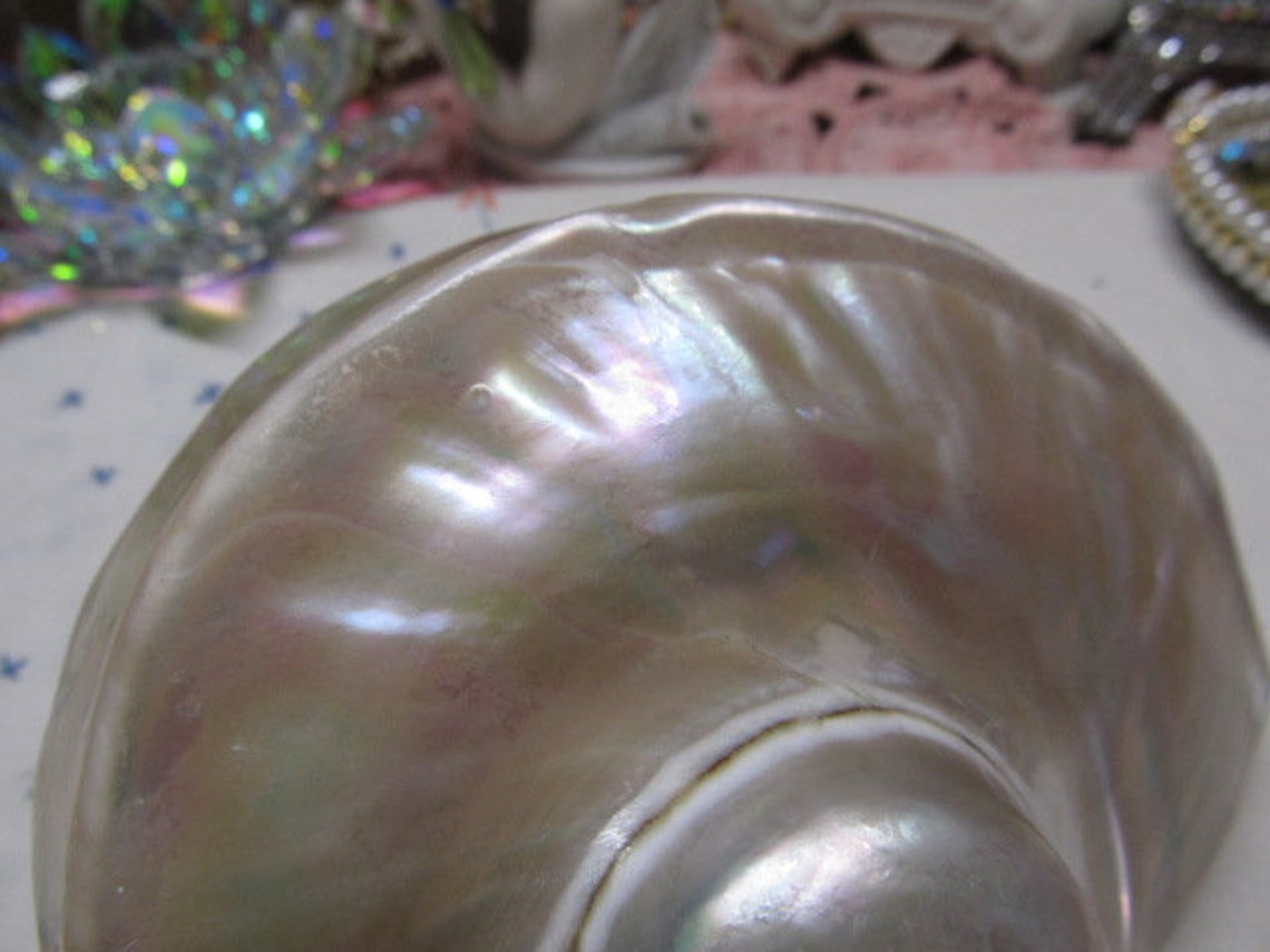 Large Mother of Pearl Embellished Conch Shell Half Pearls | Etsy
