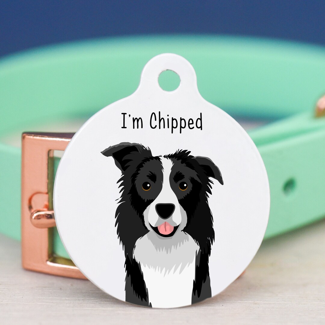 Border Collie Dog Identity Tag for Dogs Collar - Etsy