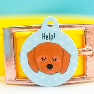 Cavapoo Cute Dog ID Tag for Cavapoos Pet Collars, Dog Tag, Dog Collar ...