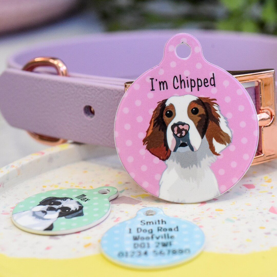 Custom Illustrated Mixed Breed Pet Portrait ID Tag in Artistic Style ...