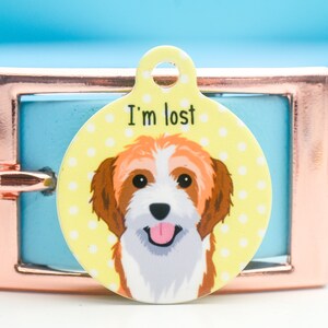 Cavapoo Cute Dog ID Tag for Cavapoos Pet Collars, Dog Tag, Dog Collar ...