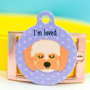 Cavapoo Cute Dog ID Tag for Cavapoos Pet Collars, Dog Tag, Dog Collar ...