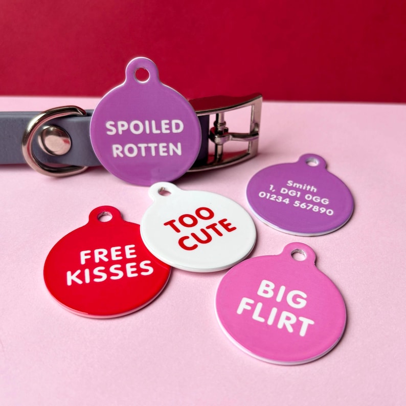 Pet ID Nametag for Dog or Cats Collar - Cheeky Love Slogans - Etsy Canada