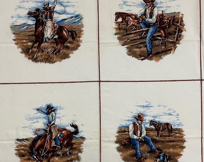 Western Quilt Blocks for Your Favorite Cowboy - Decorate Clothing ...
