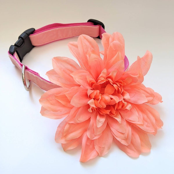 Collar Attachment - Etsy