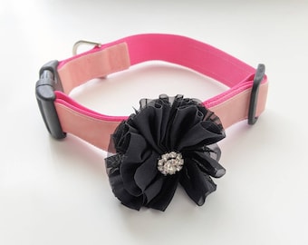 Bling Dog Collar - Etsy