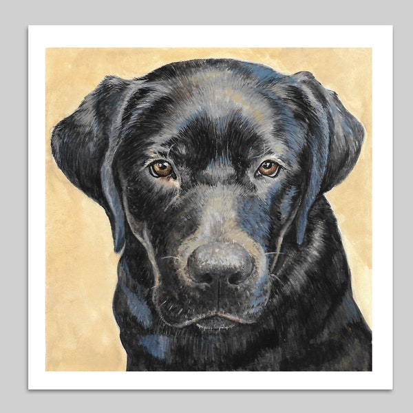 Black Lab Note Cards - Etsy