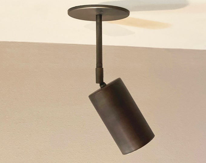 Cove Cylinder Shade Drop Spot - Oxidized Bronze Steel - Adjustable Arm ...