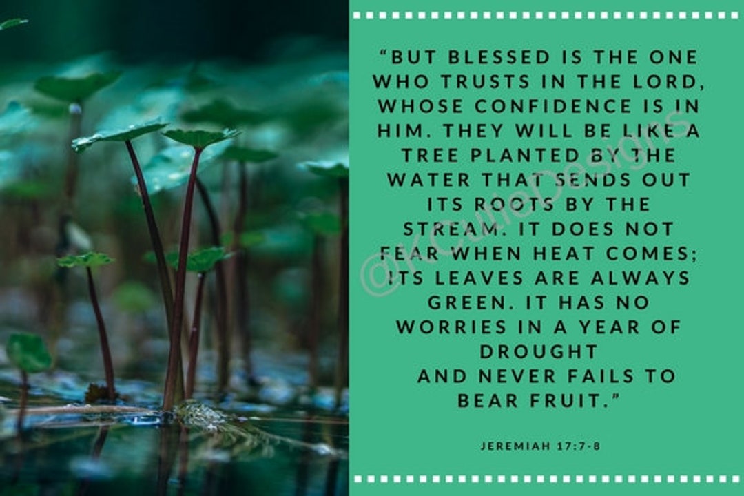 Jeremiah 17:7-8 roots but Blessed is the One Who Trusts in the Lord ...