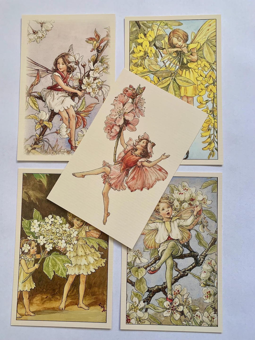 Set of 5 Flower Fairies Vintage Style Postcards: Flower Fairies of the ...