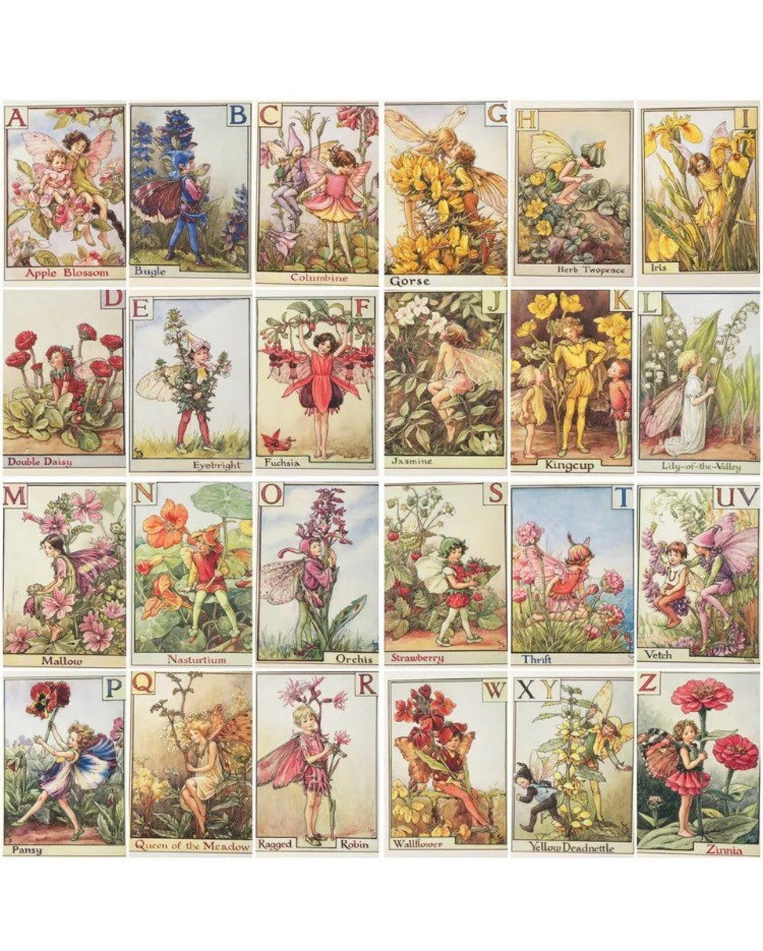 Flower Fairy Alphabet Postcards A-Z, Vintage Nursery, Art Print, Cicely ...