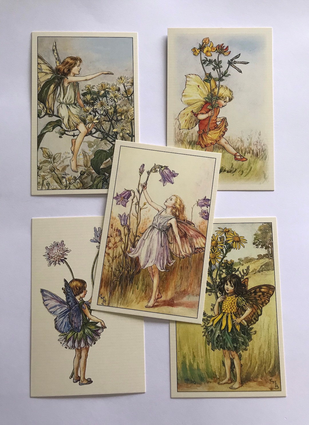 Set of 5 Flower Fairies Vintage Style Postcards: Flower Fairies of the ...