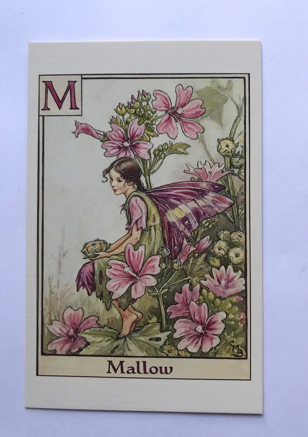 Flower Fairy Alphabet Postcard: M Mallow. Vintage Nursery, Scrapbooking ...
