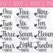 Monthly Numbers SVG Newborn SVG New Baby Svg Bundle - Etsy