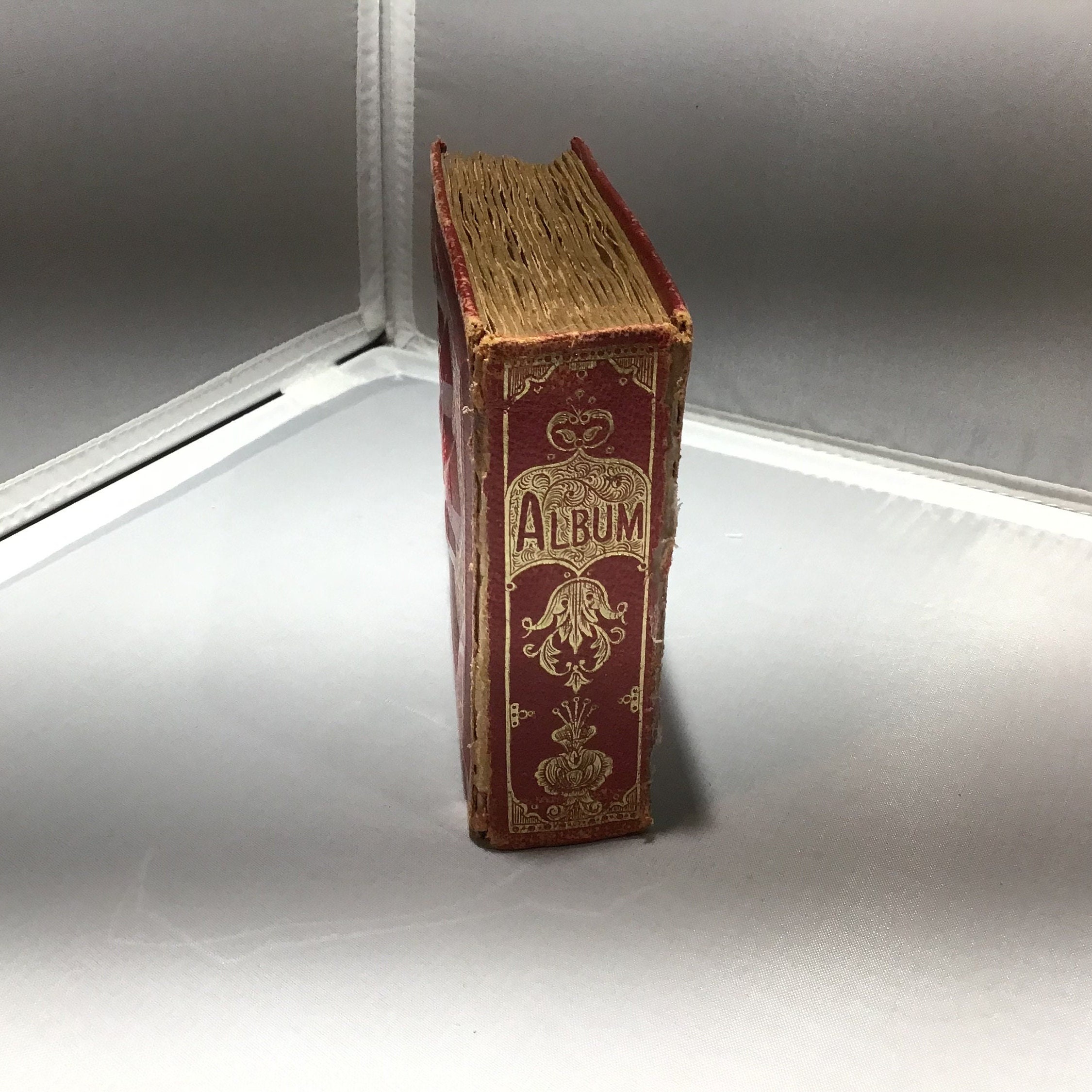 Antique 1800 MINIATURE TIN TYPE Picture Album 185 Photos Super Rare - Etsy