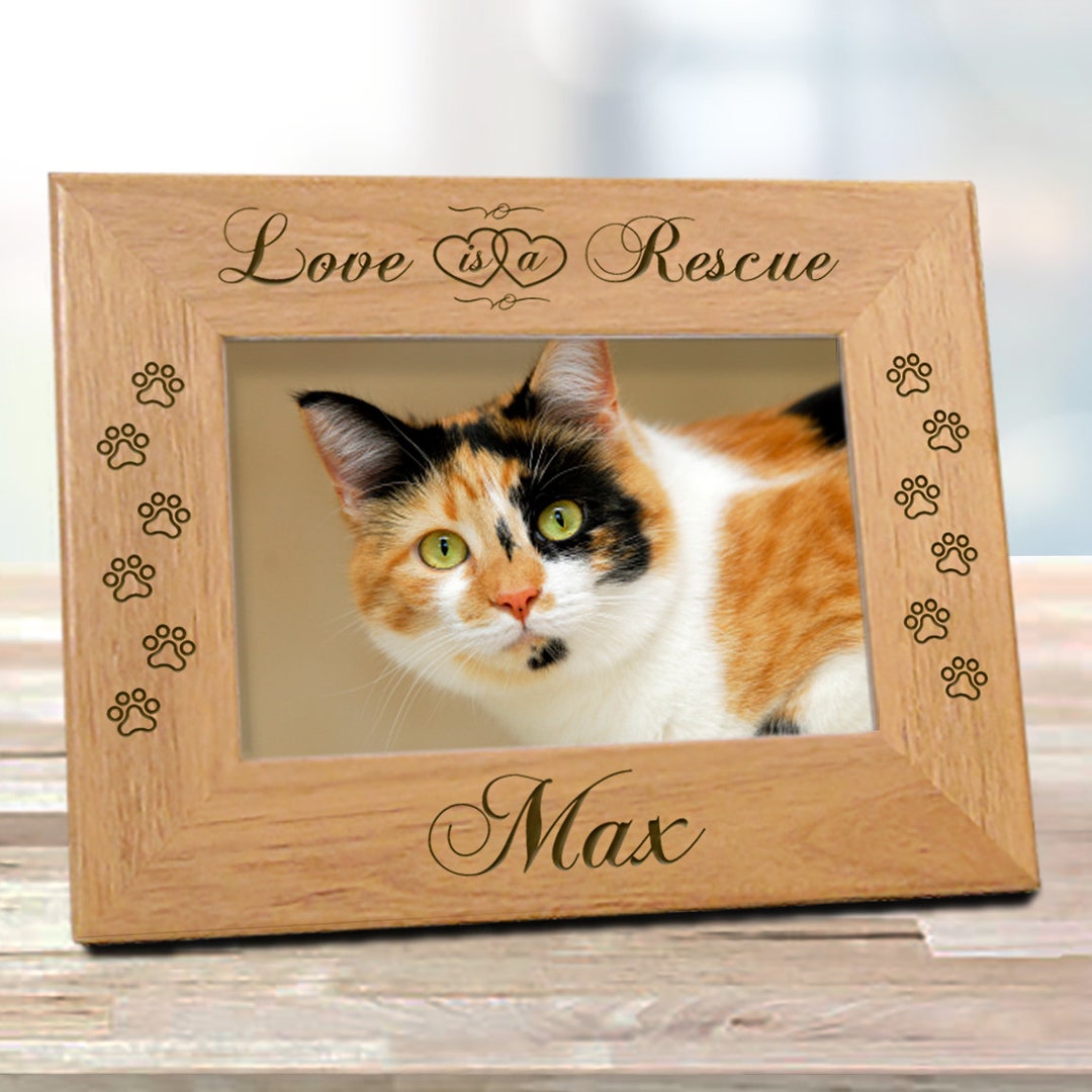 Cat Rescue, Pet Rescue, Frame Rescued, Frame Adoption, Cat Gift, Cat ...