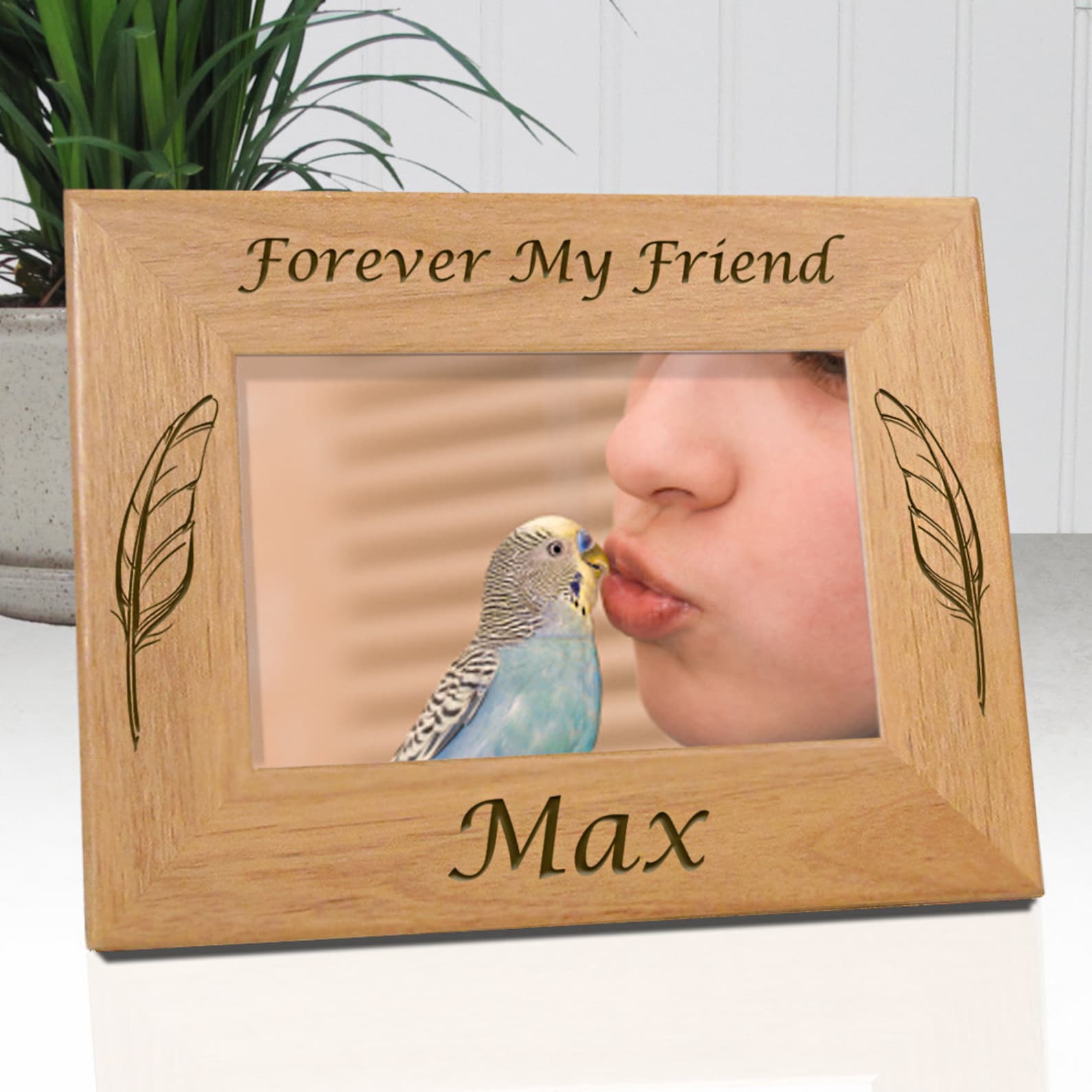 Bird Memorial, Photo Frame, Parrot, Parakeet, African Grey, Amazon ...