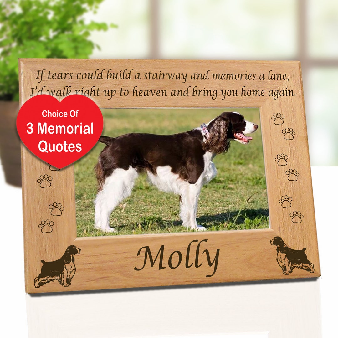 Springer Spaniel Dog Frame, 5x7 English Springer Spaniel Dog Memorial ...