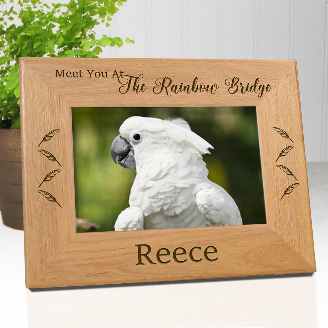 4x6 Bird Loss Frame Rainbow Bridge Quote Bird Picture Frame - Etsy