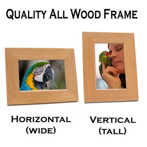 4x6 I Love My Parrot Bird Photo Frame, Custom Engraved Bird Lover Gift ...