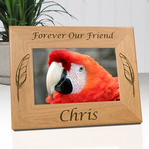 Bird Memorial, Photo Frame, Parrot, Parakeet, African Grey, Amazon ...
